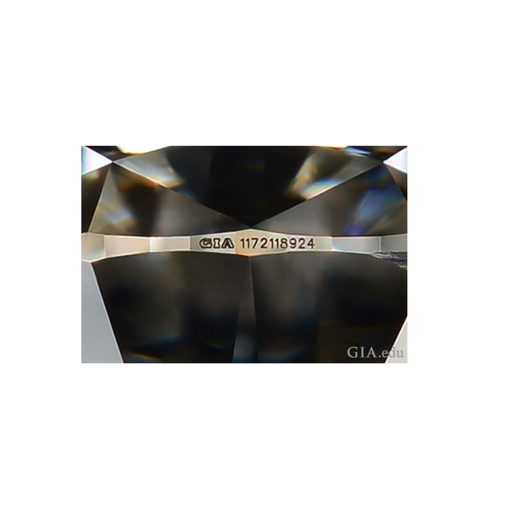 Guide & Conseils Joaillerie - Certificat GIA Diamant - Breidal Paris